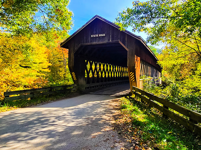 Golden autumn light transforms this historic bridge into nature's own cathedral, complete with lattice windows.