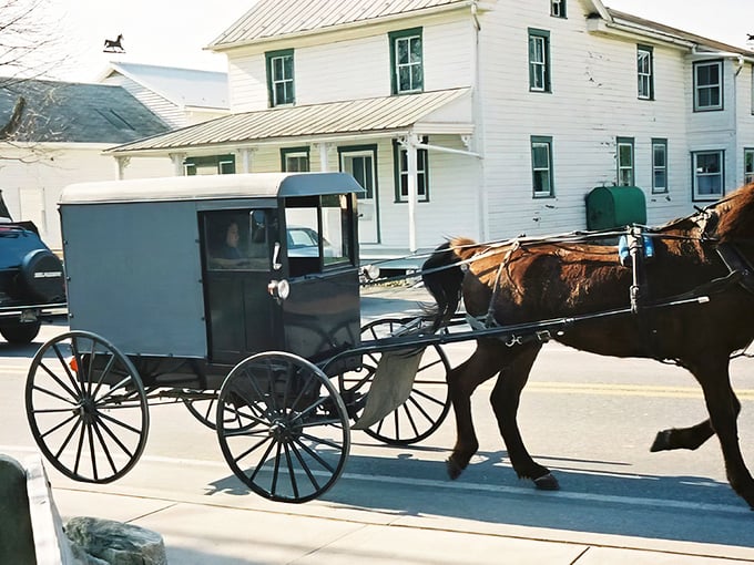 The classic Amish buggy – Pennsylvania's original eco-friendly vehicle, running on hay power since before Tesla was cool.