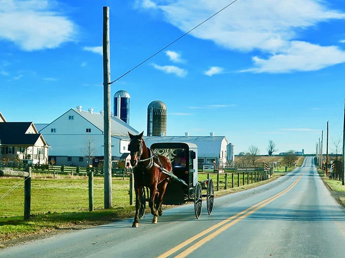 Talk about rush hour! This Amish carriage cruises under endless blue skies—Lancaster's version of a convertible ride.