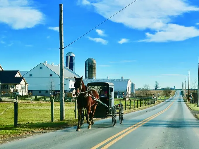 Talk about rush hour! This Amish carriage cruises under endless blue skies—Lancaster's version of a convertible ride.