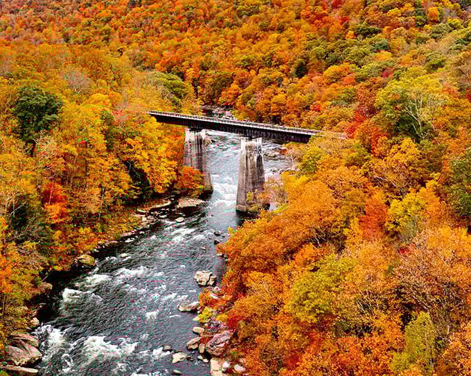 This bridge isn't just crossing water—it's connecting you to the most spectacular autumn show Pennsylvania has to offer.