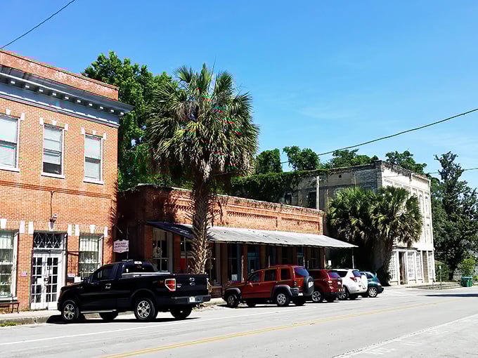 Strolling Micanopy's brick-lined streets feels like walking through a postcard from Old Florida—minus the humidity but with all the charm!
