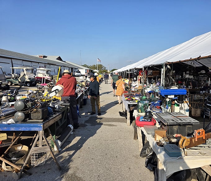 Under Florida's endless blue sky, treasure hunters navigate this outdoor wonderland of forgotten dreams and future finds.