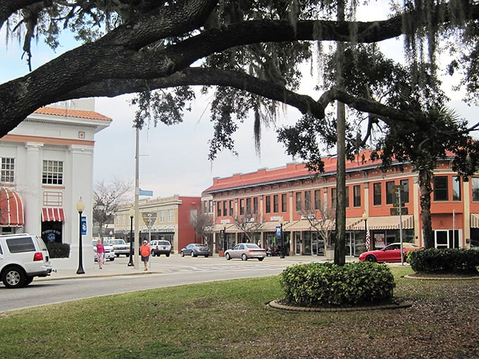 Those majestic oak trees draped in Spanish moss create nature's awning over Sebring's streets – Mother Nature's answer to Florida's blazing sunshine.