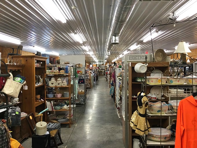 Aisles of possibility! This indoor wonderland at Shenandoah Valley Flea Market is where Marie Kondo's rules go to die.