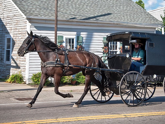 The classic Amish buggy – transportation that never needs a software update or runs out of gas, just hay and the occasional carrot!