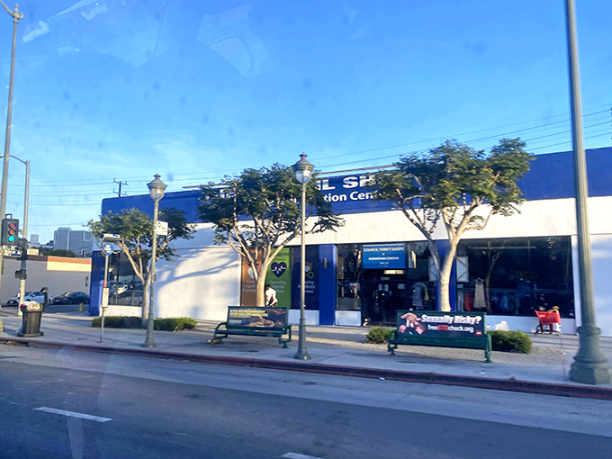 Step inside this blue-and-white wonderland where yesterday's castoffs become tomorrow's conversation pieces. The thrill of the hunt begins here!