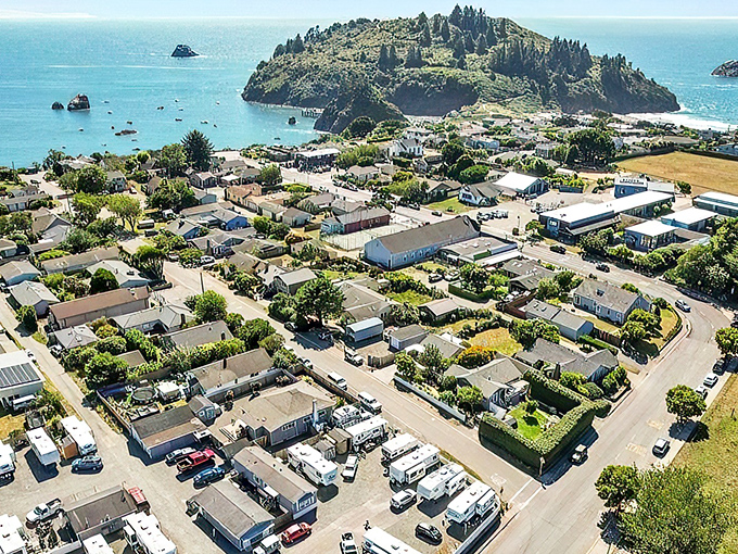 This aerial view of Trinidad showcases the perfect harmony of small-town coastal living nestled between forest and sea.