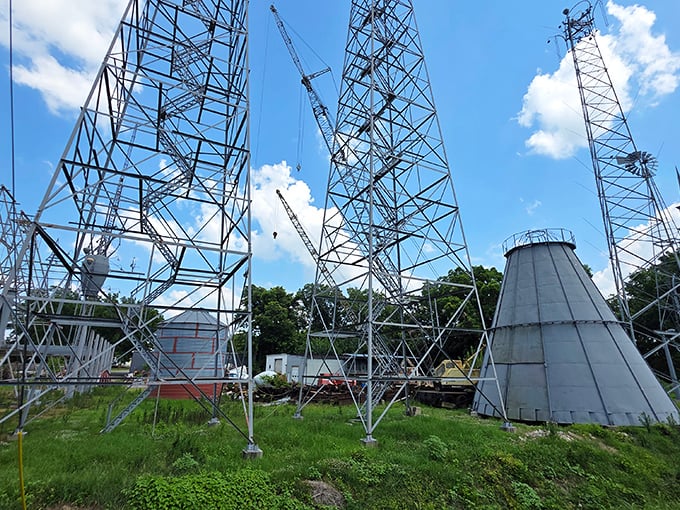 From this angle, you can see how the structure creates its own ecosystem of steel and sky—engineering meets imagination.