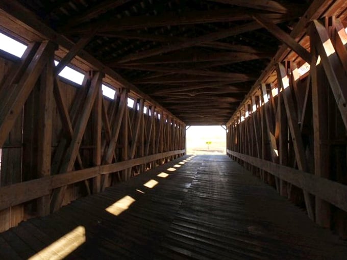Sunlight plays hide-and-seek through the wooden lattice, creating a cathedral-like atmosphere that makes you whisper even when nobody's around.