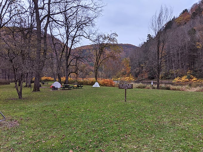 Fall camping at its finest—where colorful hillsides provide the backdrop and simplicity reigns. Mother Nature's five-star accommodations without the concierge.