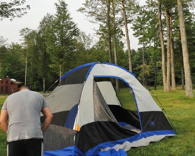 Setting up camp under towering trees – the perfect prelude to a night of stargazing. These pines have witnessed countless cosmic shows.