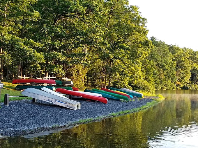 Kayak rainbow! These colorful vessels lined up like eager puppies at dinnertime, just waiting for someone to take them for a paddle.