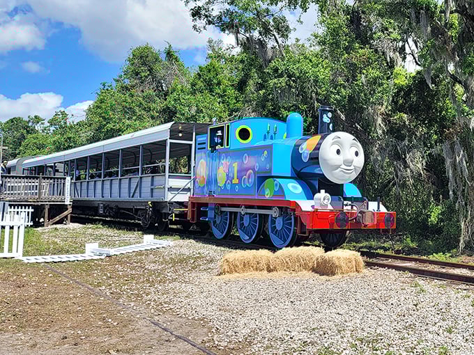 Thomas the Tank Engine brings childhood nostalgia to life in vibrant blue. Even adults can't help but smile at this familiar face from bedtime stories.
