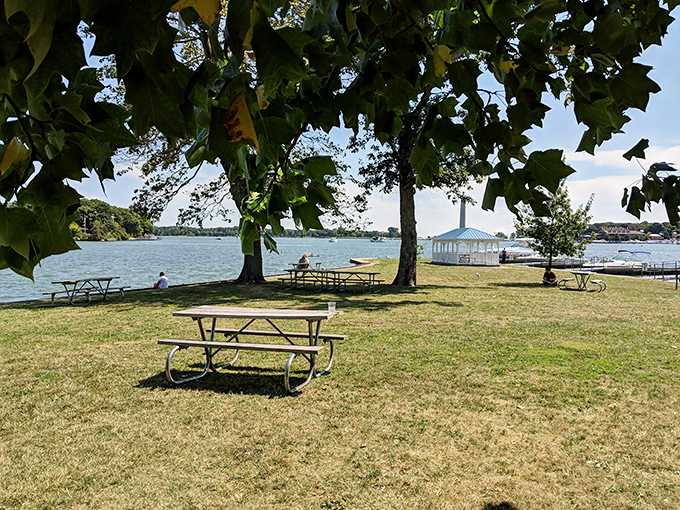 Nature's dining room awaits under leafy sentinels. These picnic tables have hosted more family stories than a holiday dinner table.