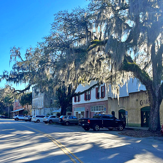 Cholokka Boulevard basks in Florida sunshine, where oak-dappled shadows play across storefronts that haven't changed their tune in decades.