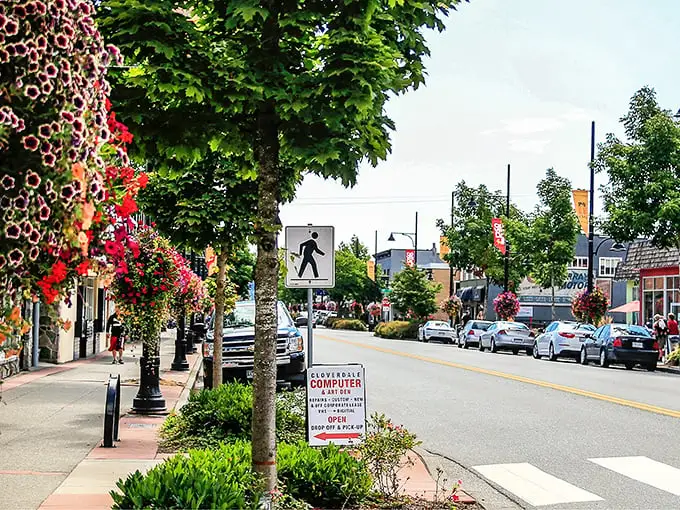 Downtown blooms aren't just pretty faces – they're Cloverdale's version of a welcome committee. Even the pedestrian crossing signs look happier here.