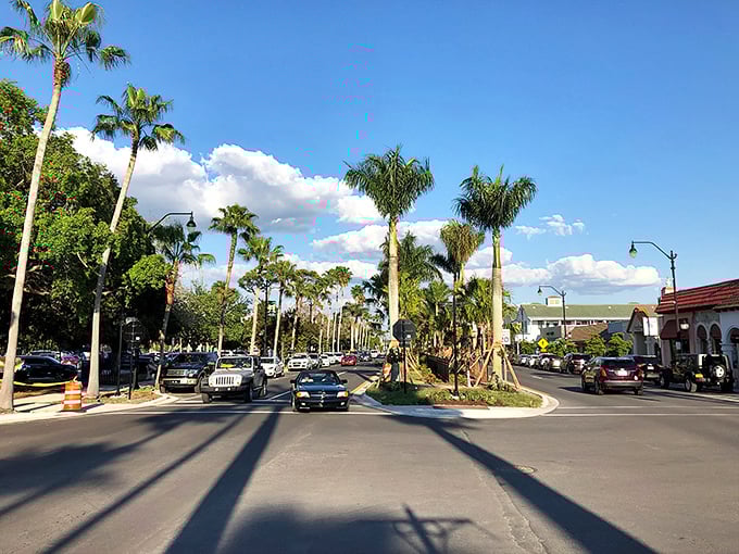 Palm trees standing at attention along Venice Avenue, as if saying "Welcome to the good life." The 20 mph speed limit isn't a restriction—it's an invitation to slow down.