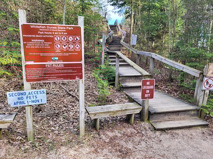 "No lifeguard on duty" is just nature's way of saying "you're an adult now"—navigate these wooden steps to discover your own slice of paradise.