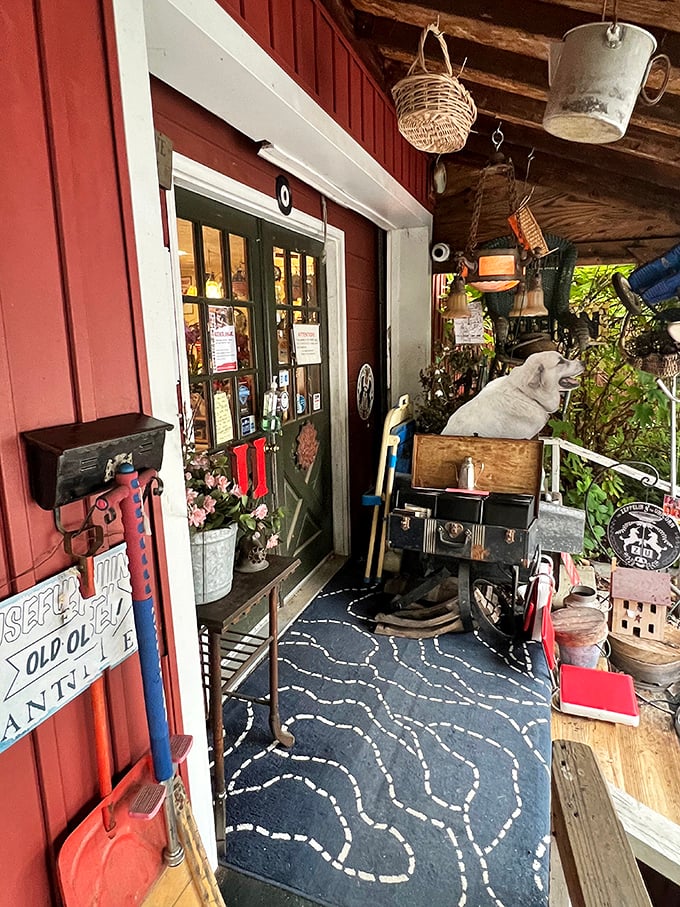 That blue patterned rug isn't just decor—it's a portal to wonderland. Even the porch is curated with vintage finds and whimsical touches.