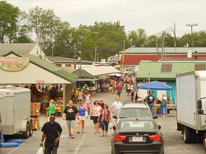 The market's main drag buzzes with Friday energy as shoppers navigate between buildings, each one promising different delights and discoveries.