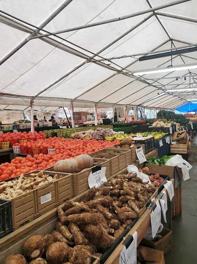 Nature's color palette on full display! Farm-fresh produce arranged with care, proving the best supermarket might not be a supermarket at all.