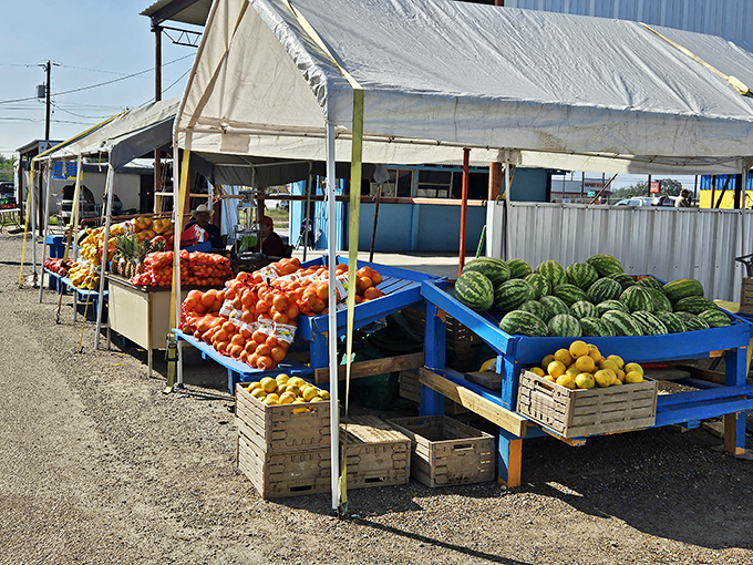 Nature's color palette on full display—juicy watermelons, bright citrus, and ripe tomatoes that make grocery store produce look like sad imposters.