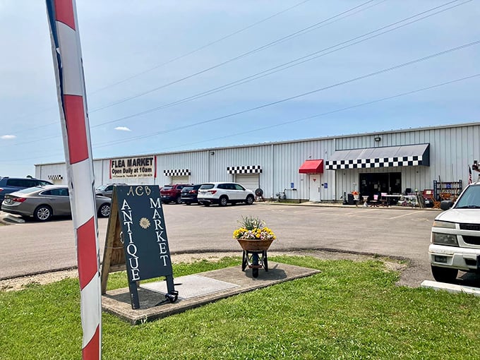 The checkered flag motif isn't just decoration—it's a warning that once you start browsing, you're in a marathon of discovery that's impossible to rush.