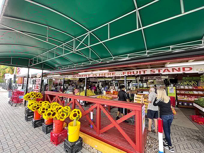 Where tropical dreams meet Florida reality, and every visitor becomes a fruit convert instantly.