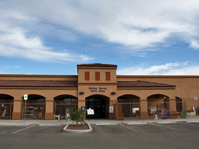 No ordinary strip mall tenant, the Golden Goose's stucco façade and Spanish tile roof offer a first hint that this thrift experience transcends the ordinary.