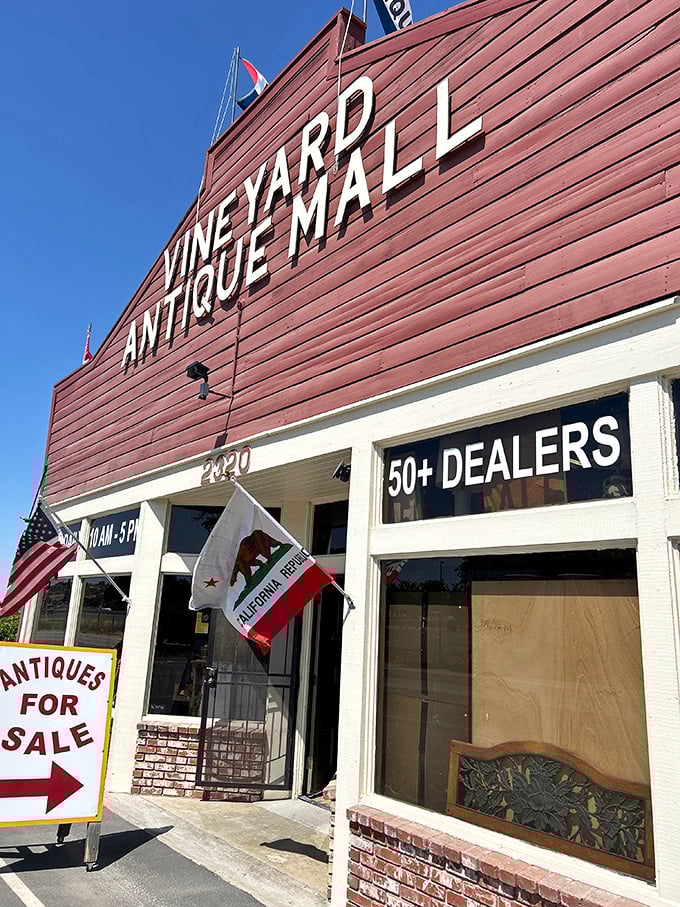 "50+ Dealers" means you'll need comfortable shoes and possibly a sherpa to navigate this vintage wonderland properly.