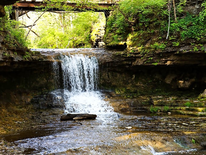 Mother Nature showing off at Glen Helen Nature Preserve. This waterfall doesn't need Instagram filters—it's been perfecting its selfie game for thousands of years.