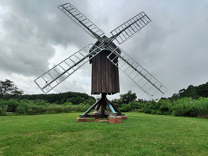 Like a wooden sentinel guarding the marshlands, this post mill's weathered frame tells stories of 19th-century ingenuity and Eastern Shore determination. 