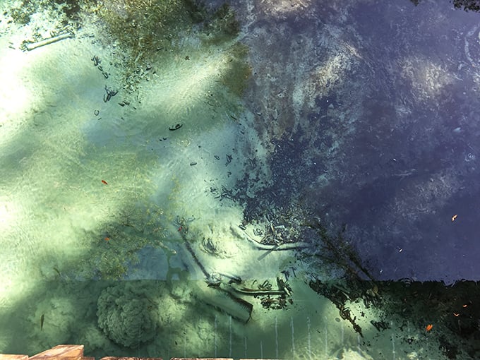 Looking down at these sandy boils is like watching nature's lava lamps in action—hypnotic swirls that have been performing their dance for millennia.
