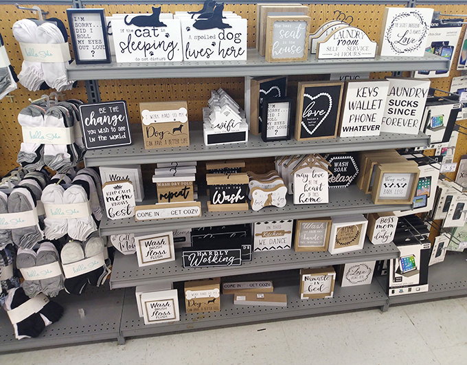 Wall art that speaks the truth! From "Laundry sucks since forever" to "A cat sleeping here," these signs understand your home's reality better than any interior designer.