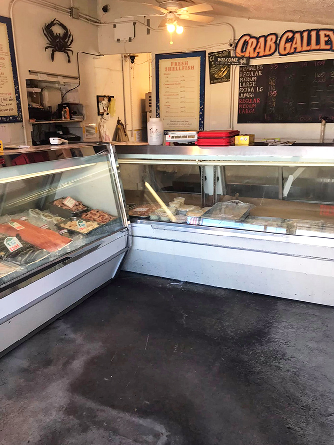 Inside, simplicity reigns supreme. No fancy chandeliers here—just the promise of seafood so fresh it might still be checking its messages.