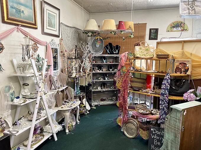 Room after room of carefully curated collections await. Where big-box stores offer chaos, this shop delivers the thrill of discovery with thoughtful organization.