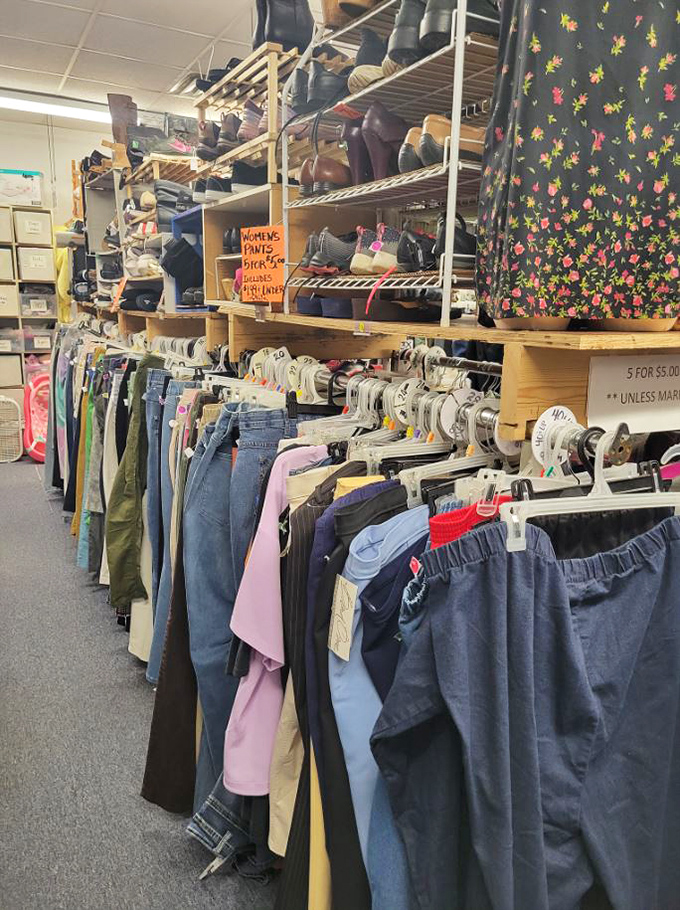 Clothing racks that don't require an archaeological expedition to navigate. A rainbow of possibilities awaits your next wardrobe revolution.