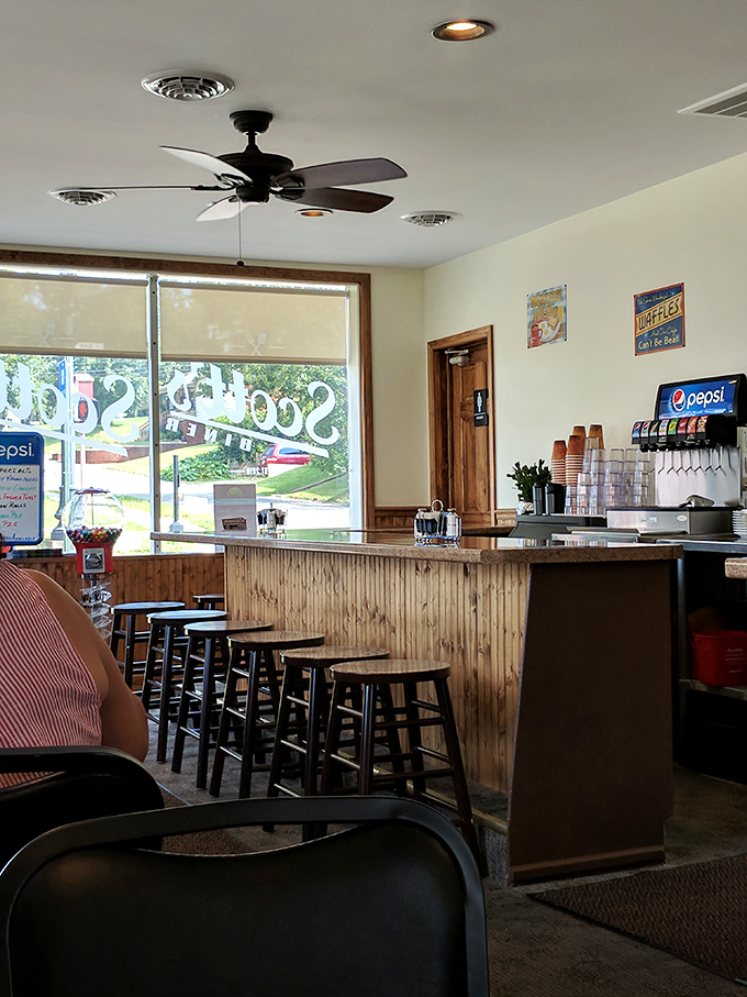 Classic diner charm at its finest—wooden paneling, counter seating, and ceiling fans that have witnessed countless "I'll have what she's having" moments.