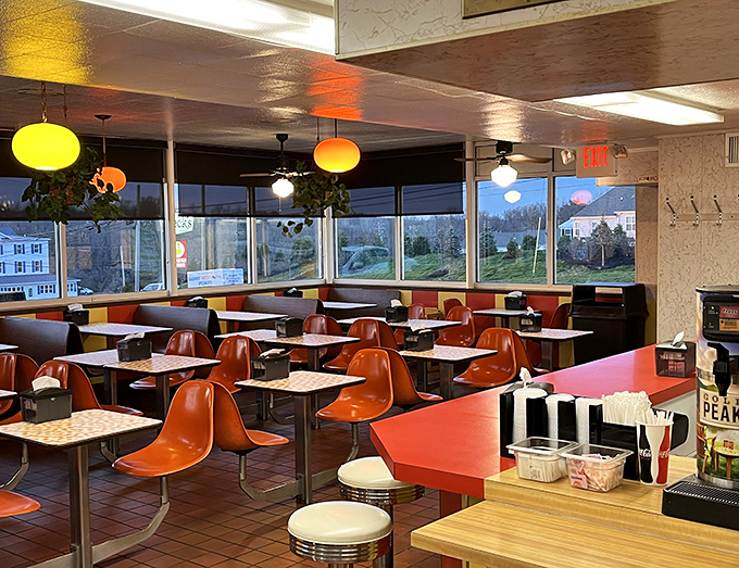 Time travel isn't just science fiction—it's what happens when you step into Speck's retro interior with those unmistakable orange chairs that have cradled chicken enthusiasts for generations.