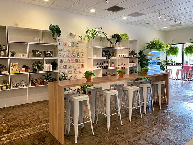 Indoor jungle meets Scandinavian simplicity – hanging plants soften the clean lines while white metal stools invite you to perch and ponder life's great questions over espresso.