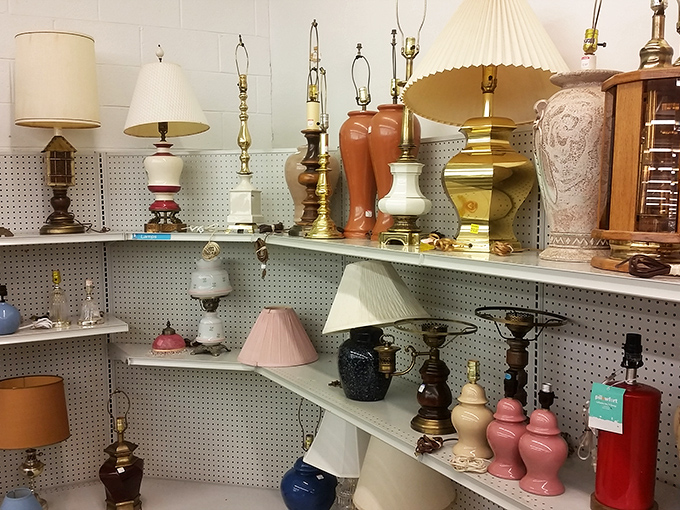 A lineup of lamps that could illuminate both your home and conversation – from kitschy leg lamps to brass beauties waiting for their second act.