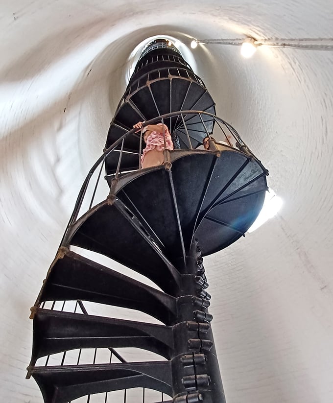 The dizzying spiral staircase winds its way skyward—109 steps of maritime history that will leave your legs wobbly but your spirit soaring.