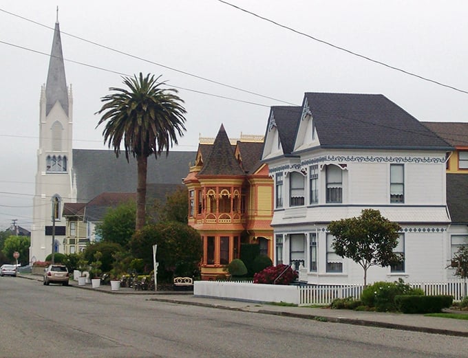 Church spires, palm trees, and gingerbread trim—Ferndale's residential streets are where Victorian architecture meets California sunshine.