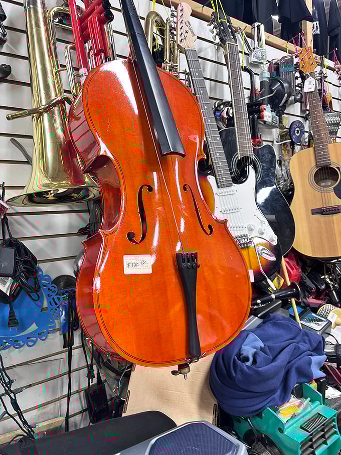 A symphony of second chances! From cellos to saxophones, these pre-loved instruments are ready for their encore performance in someone's musical journey.