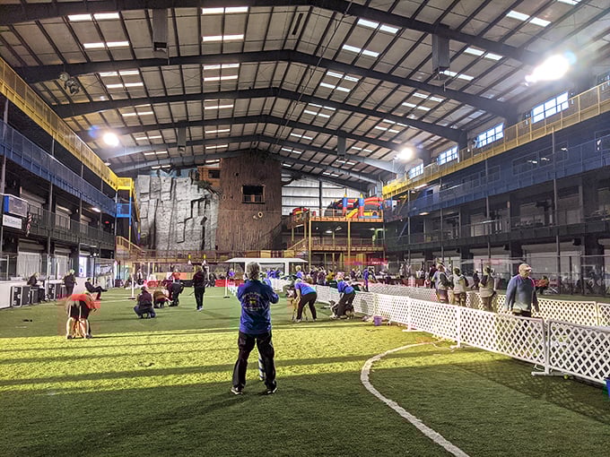 At McDermont Field House, pickleball isn't just a sport—it's a social phenomenon. Watch retirees transform into competitive athletes while making lifelong friends between volleys.
