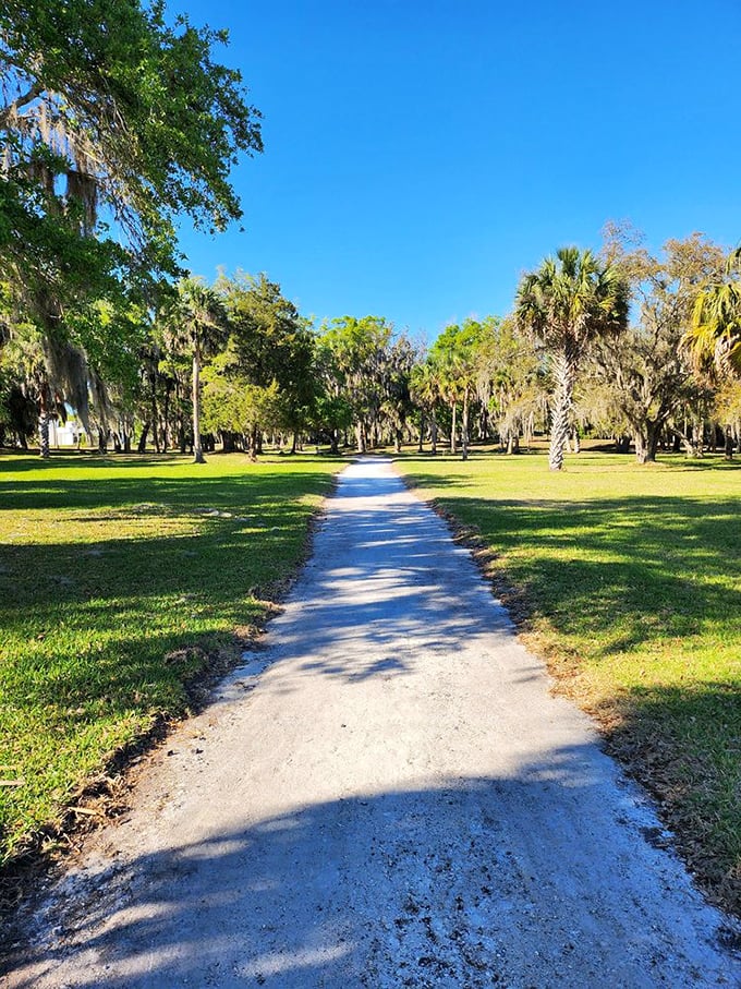 These shaded paths have been hosting nature's daily commute for centuries – no traffic jams, just pure serenity.