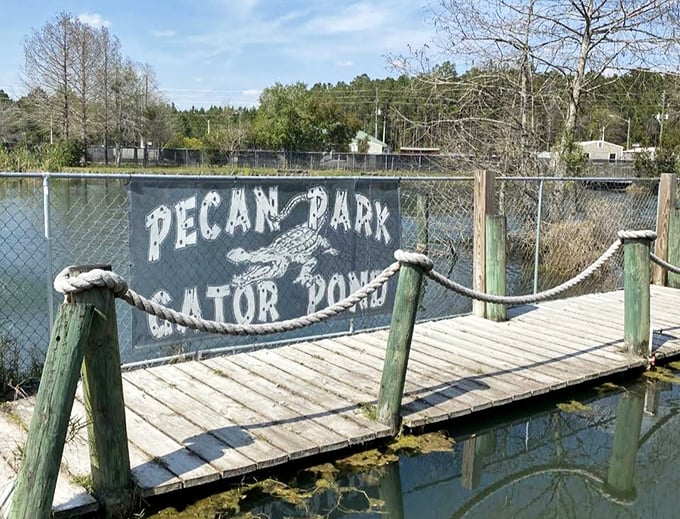Not just a market—Pecan Park offers waterfront views complete with gator sightings. Florida's version of a shopping mall water feature!