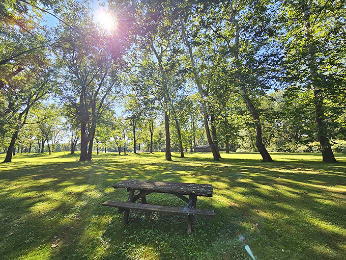These picnic tables see more action from squirrels than humans – your secret outdoor dining room awaits.