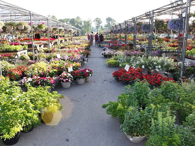 Nature's color palette explodes in this garden section. Even those with "black thumbs" might be inspired to attempt horticultural greatness here.
